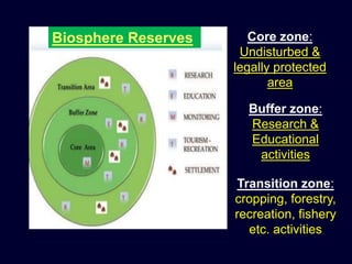 Biodiversity - Threats and Conservation | PPTX