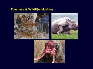 Biodiversity - Threats and Conservation | PPTX