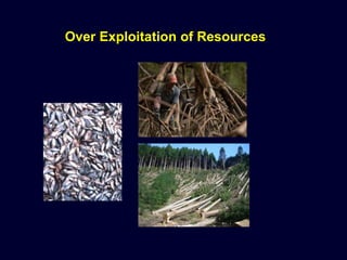 Biodiversity - Threats and Conservation | PPTX | Zoos & Aquariums ...