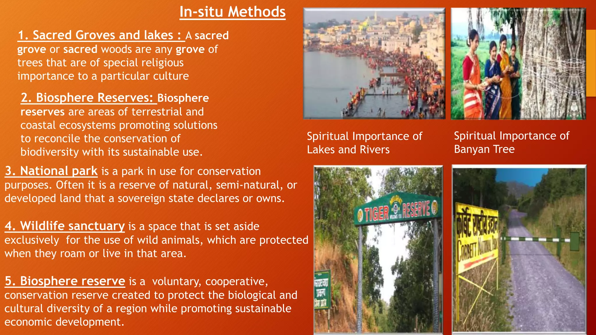 Biodiversity and its conservation techniques | PPTX