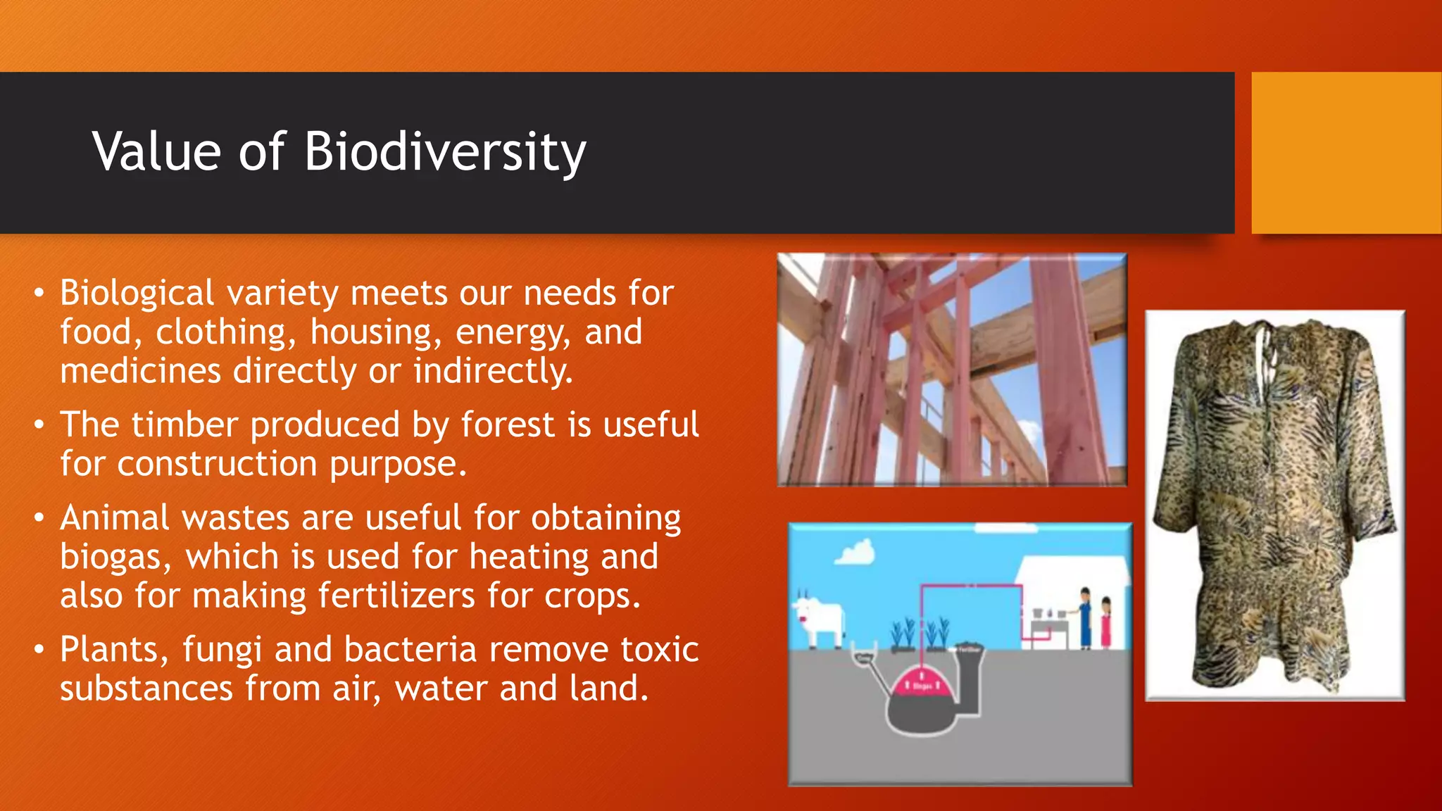 Biodiversity and its conservation techniques | PPTX