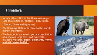 Biodiversity and its conservation techniques | PPTX