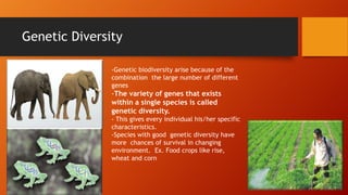 Biodiversity and its conservation techniques | PPTX