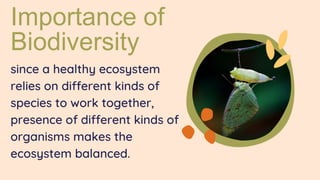 BIODIVERSITY (1).pptx
