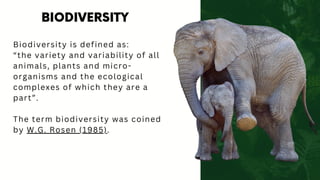 Biodiversity and it's types and importance | PDF