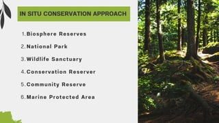 Biodiversity and it's types and importance | PDF