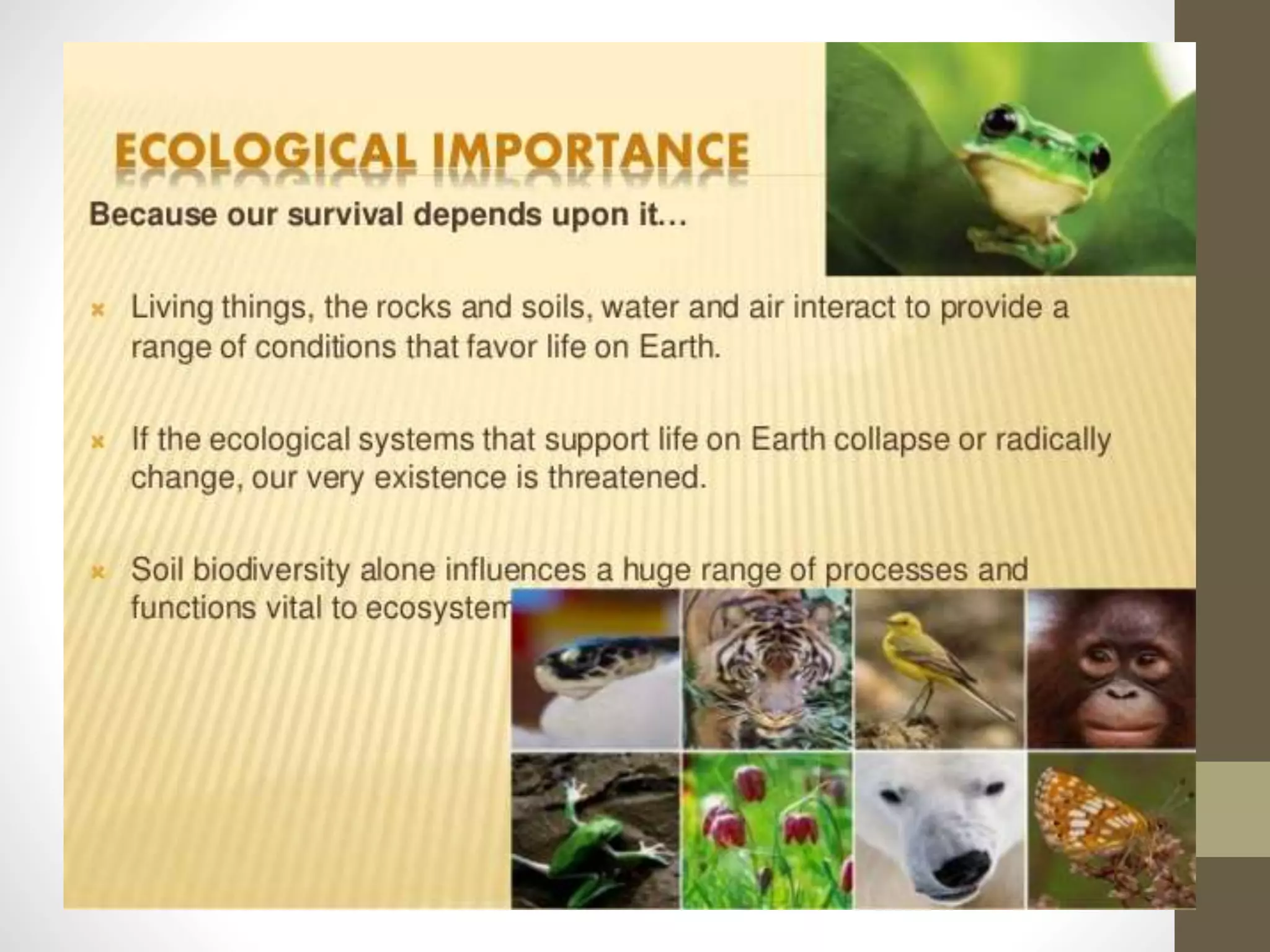 Biodiversity (2) | PPTX