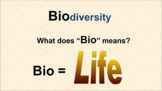 biodiversity 2.pptx