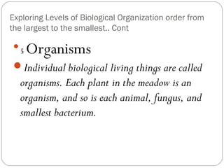 Biodiversity2018evangelistamariavicentagalvez | PPT