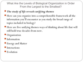 Biodiversity2018evangelistamariavicentagalvez | PPT