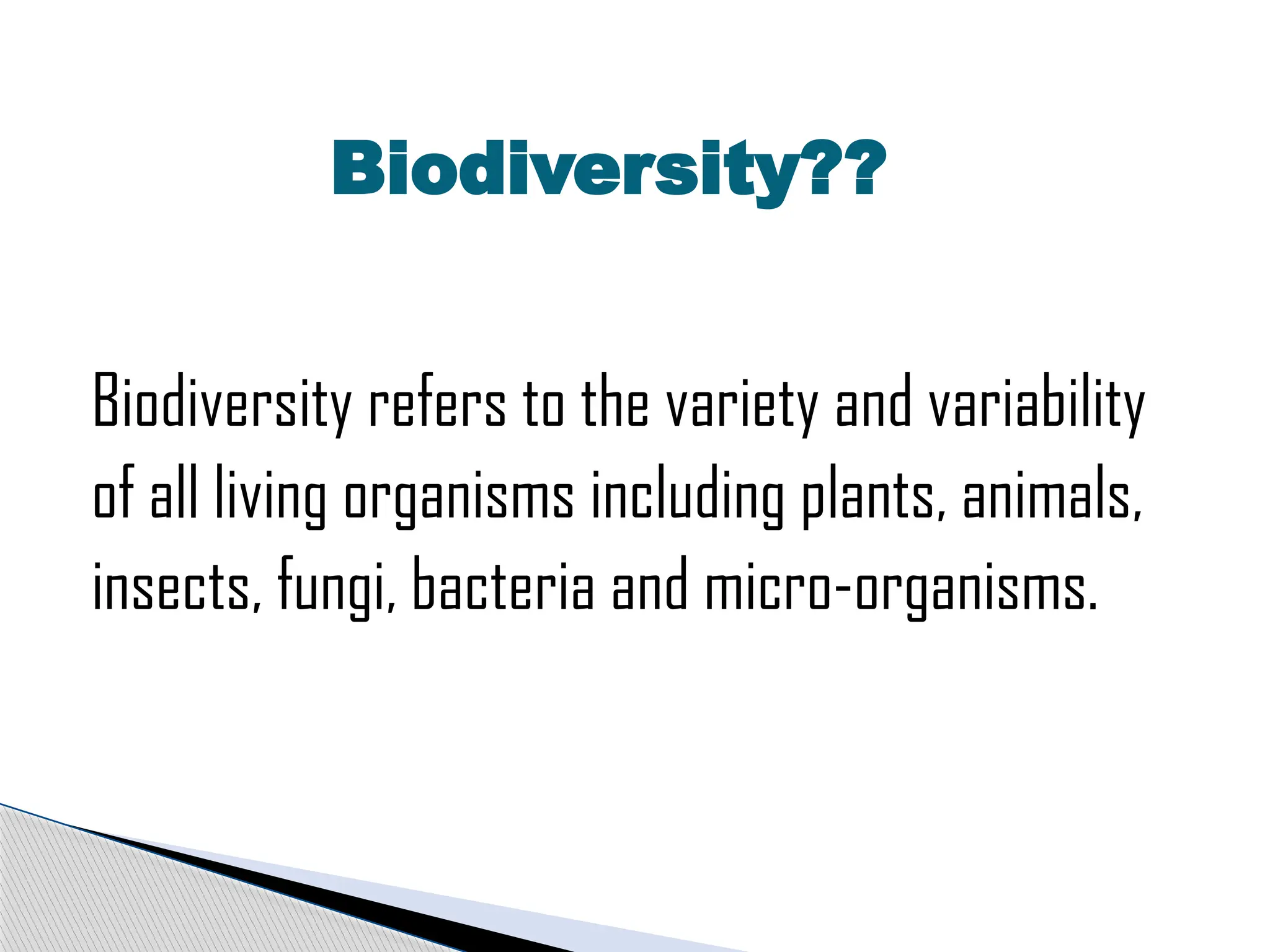 A presentation on biodiversity and Invasive species.pptx