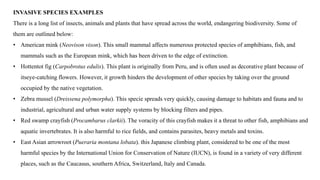 Biodiversity Definition, Hot spots of biodiversity | PPT