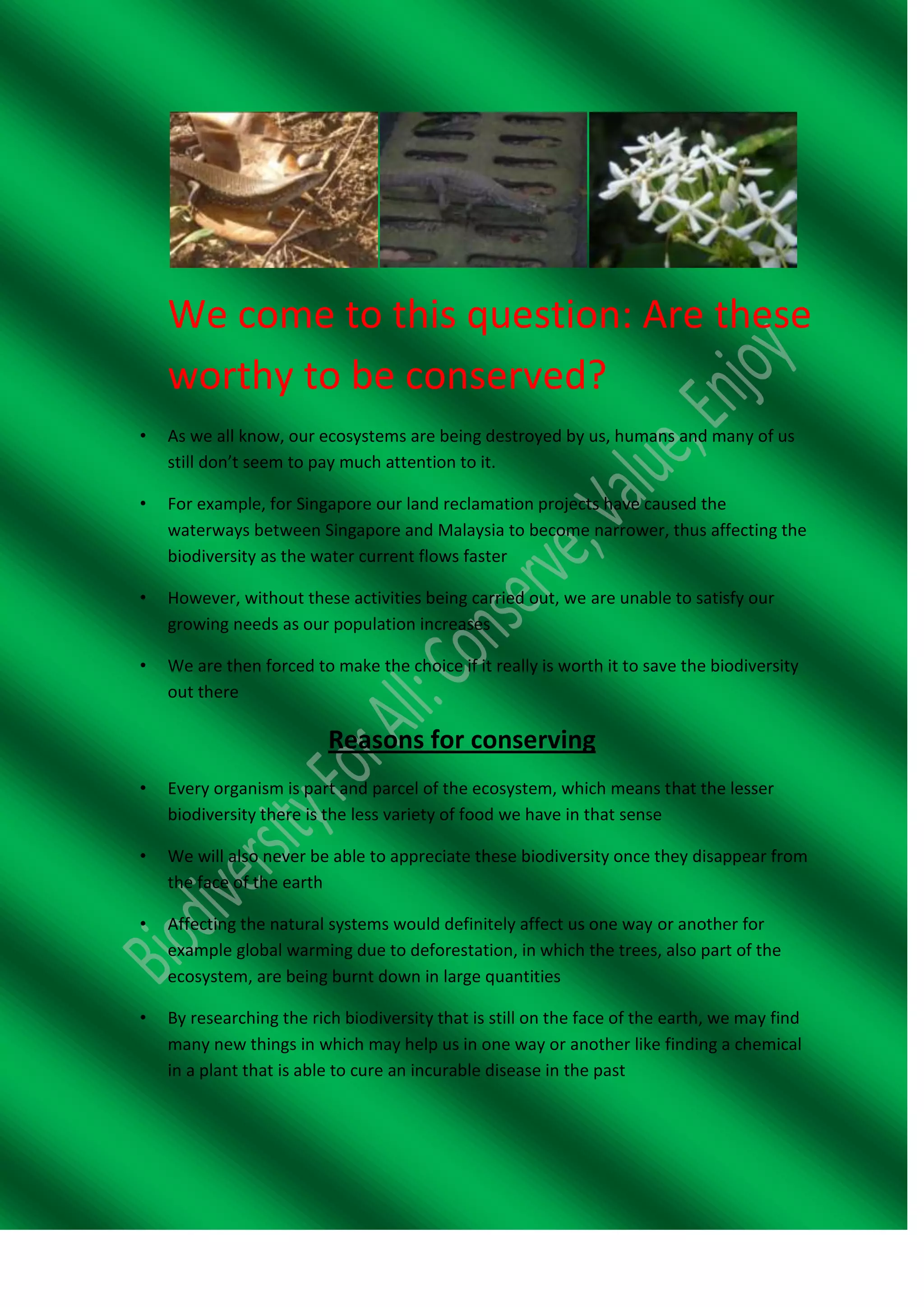 Biodiversity poster | DOCX