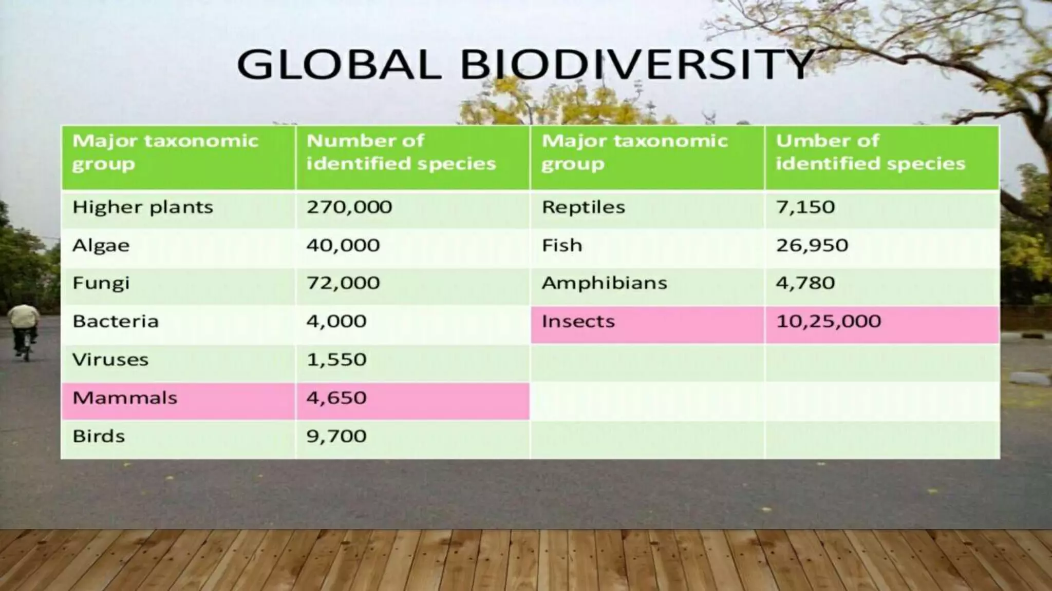 Biodiversity act 2002 | PPTX