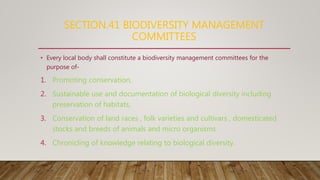 Biodiversity act 2002 | PPTX