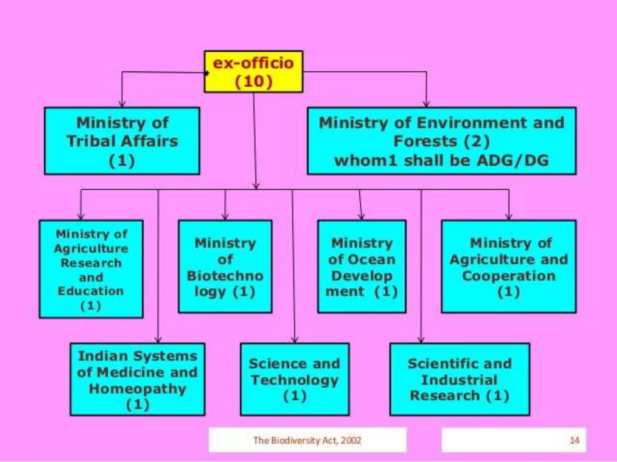 Biodiversity act, 2002 ppt | PPTX