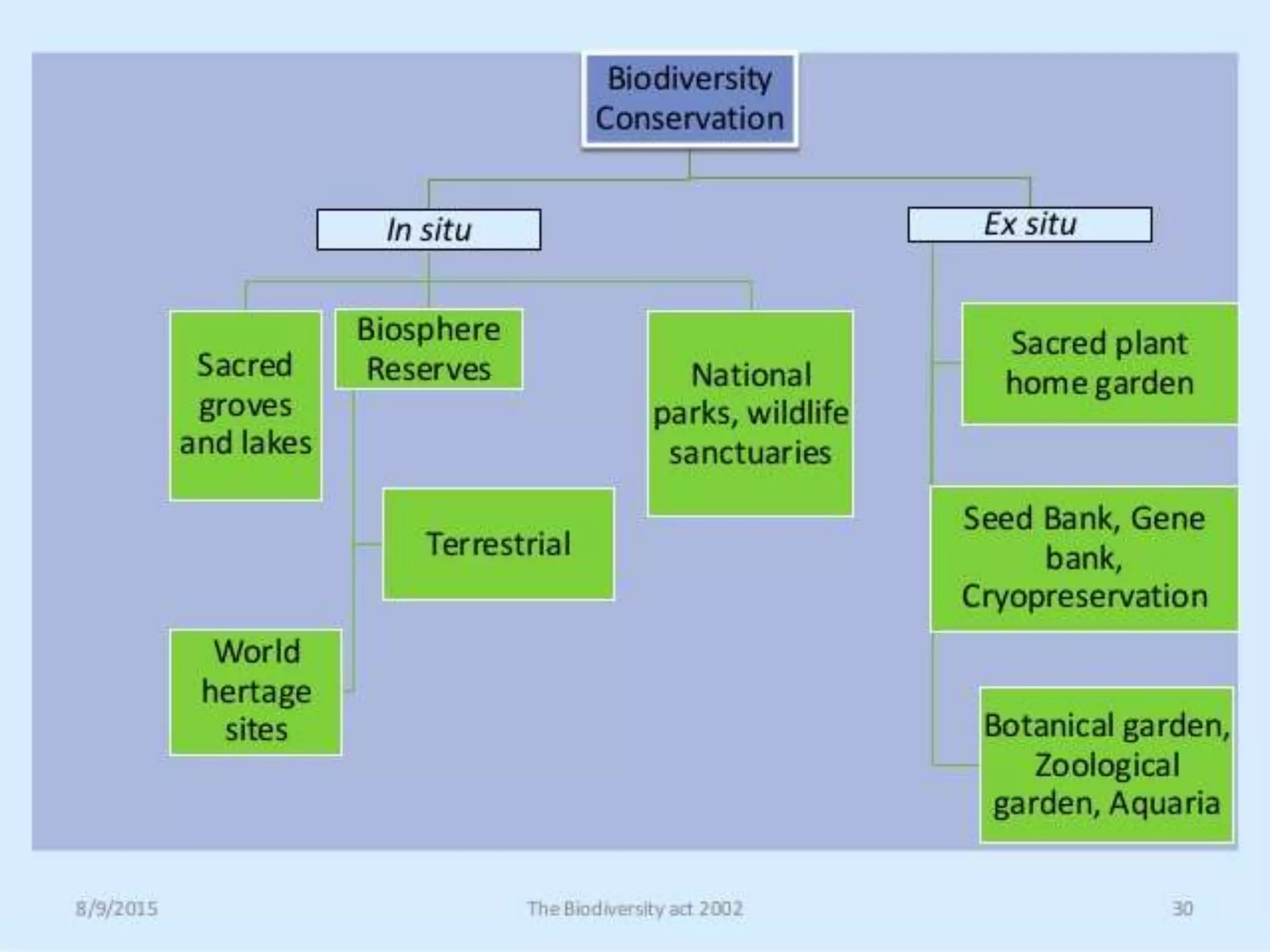 Biodiversity act, 2002 ppt | PPTX