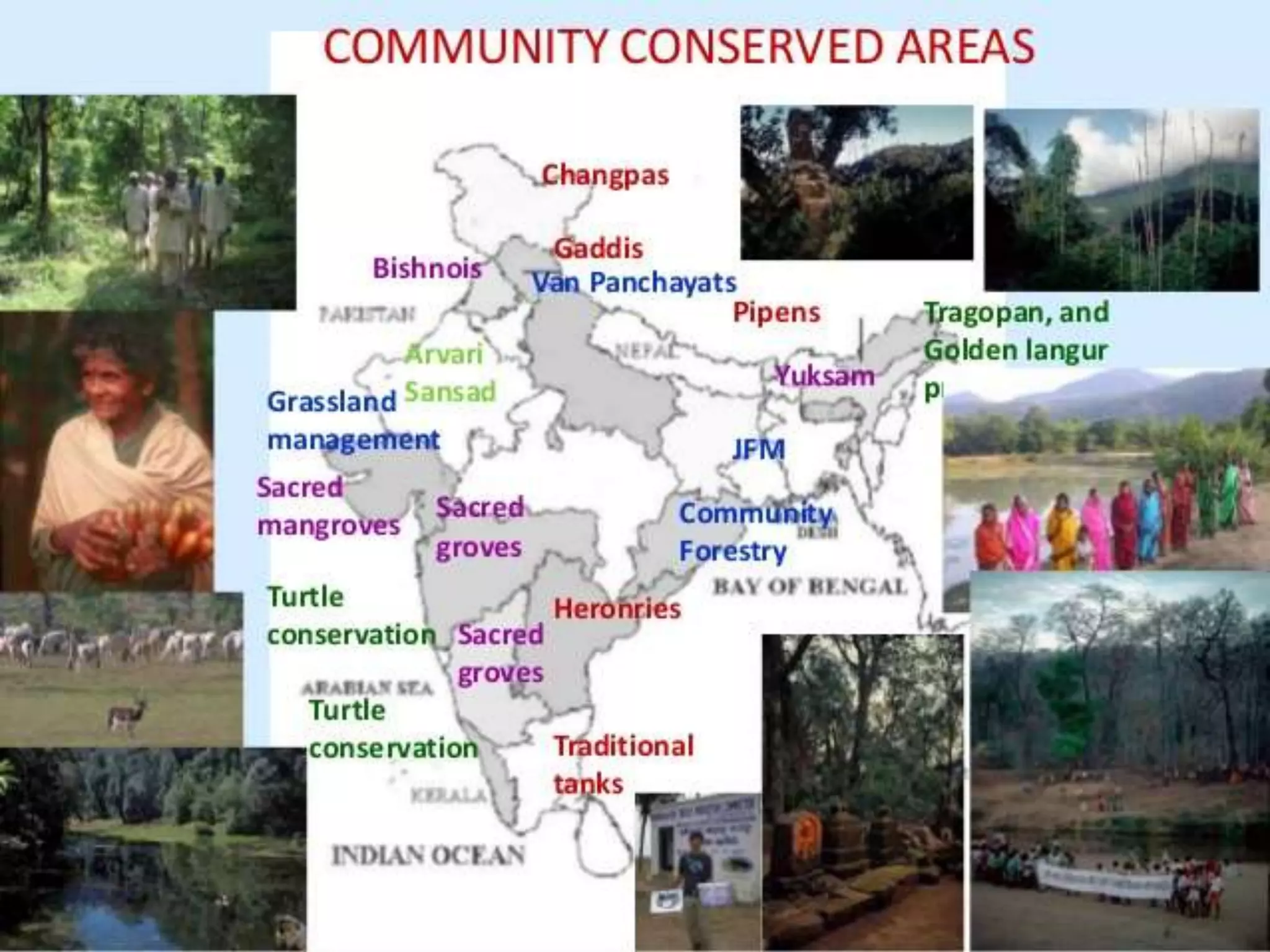Biodiversity act, 2002 ppt | PPTX