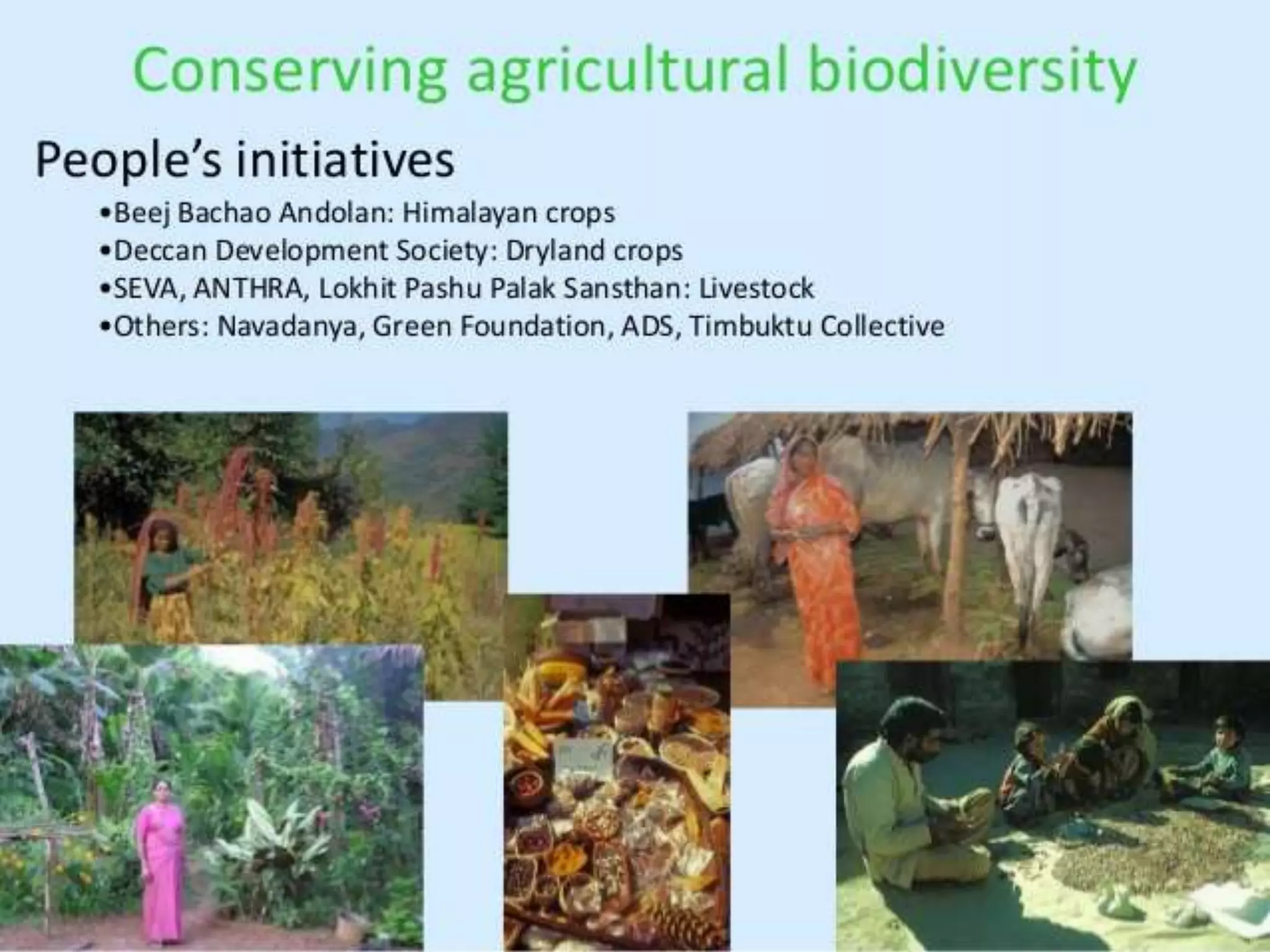 Biodiversity act, 2002 ppt | PPTX