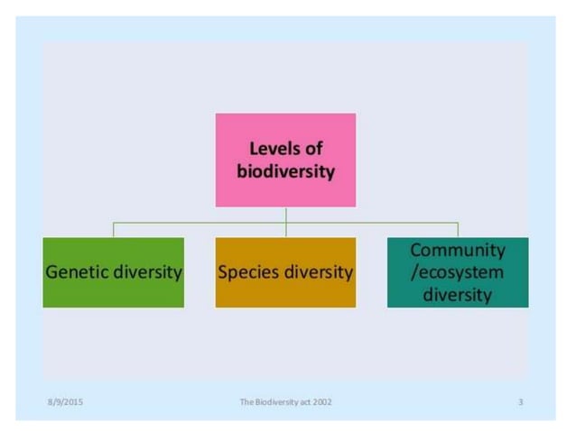 Biodiversity act, 2002 ppt | PPTX | Geography | Science