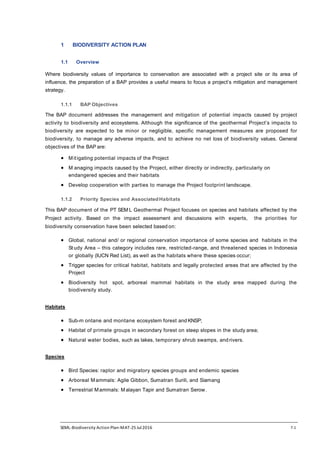 BIODIVERSITY ACTION PLAN.docx