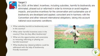 Biodiversity Aichi Targets | PDF