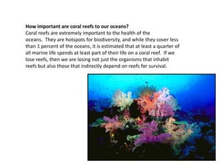 Biodiversity I | PPT | Geography | Science