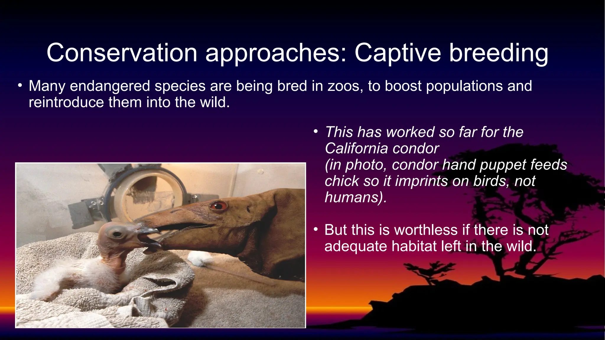 biodiversityand-140104022116-phpapp01.pptx