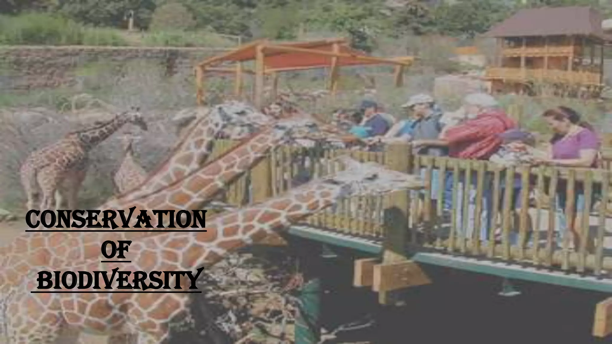 Biodiversity and its Conservation | PPTX