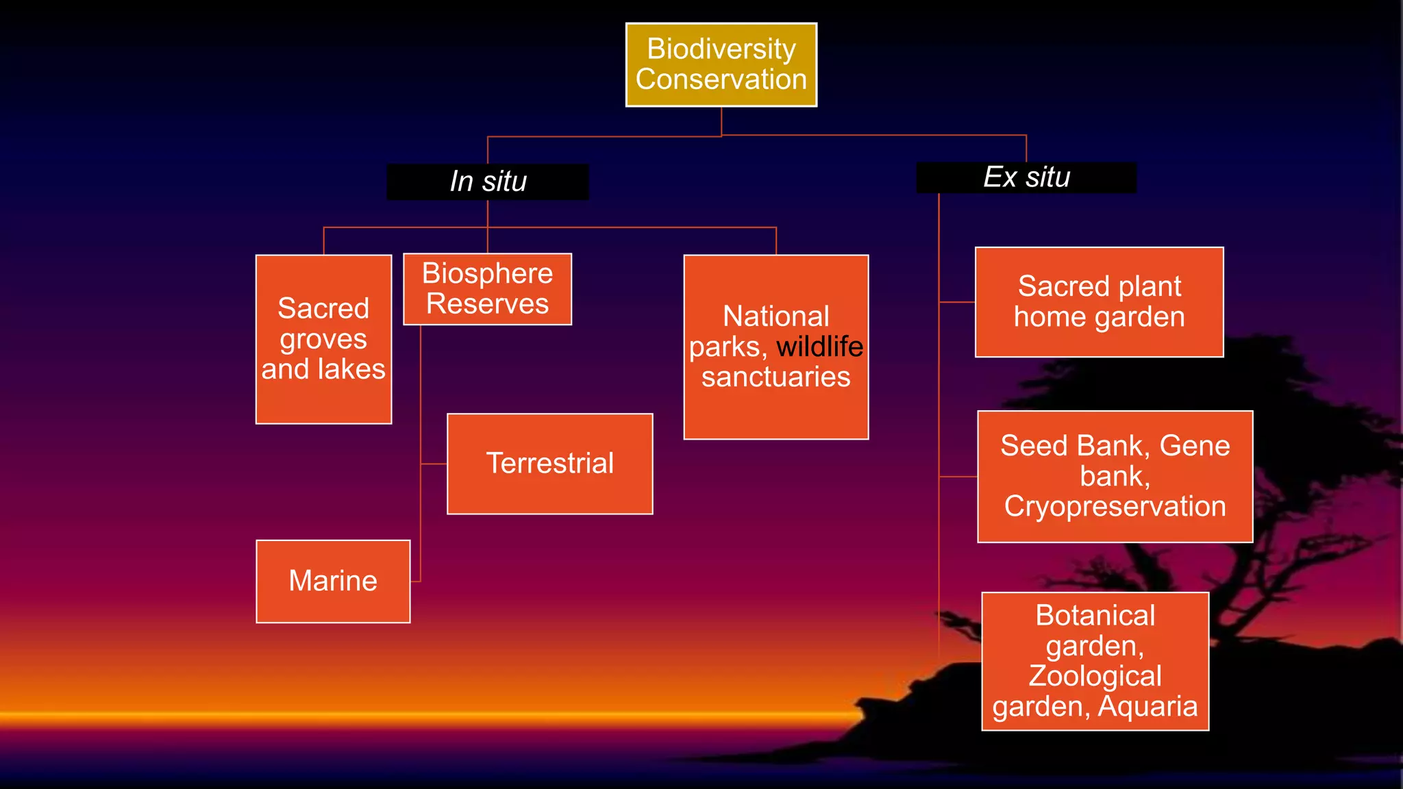 Biodiversity and its Conservation | PPTX