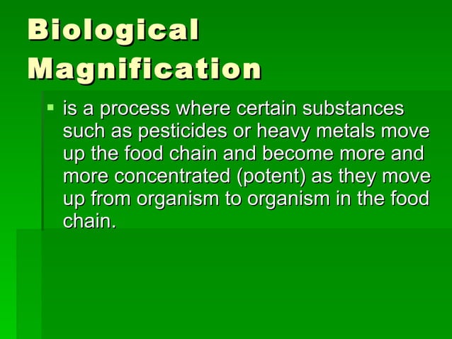 Biodiversity And Biological Magnification | PPT