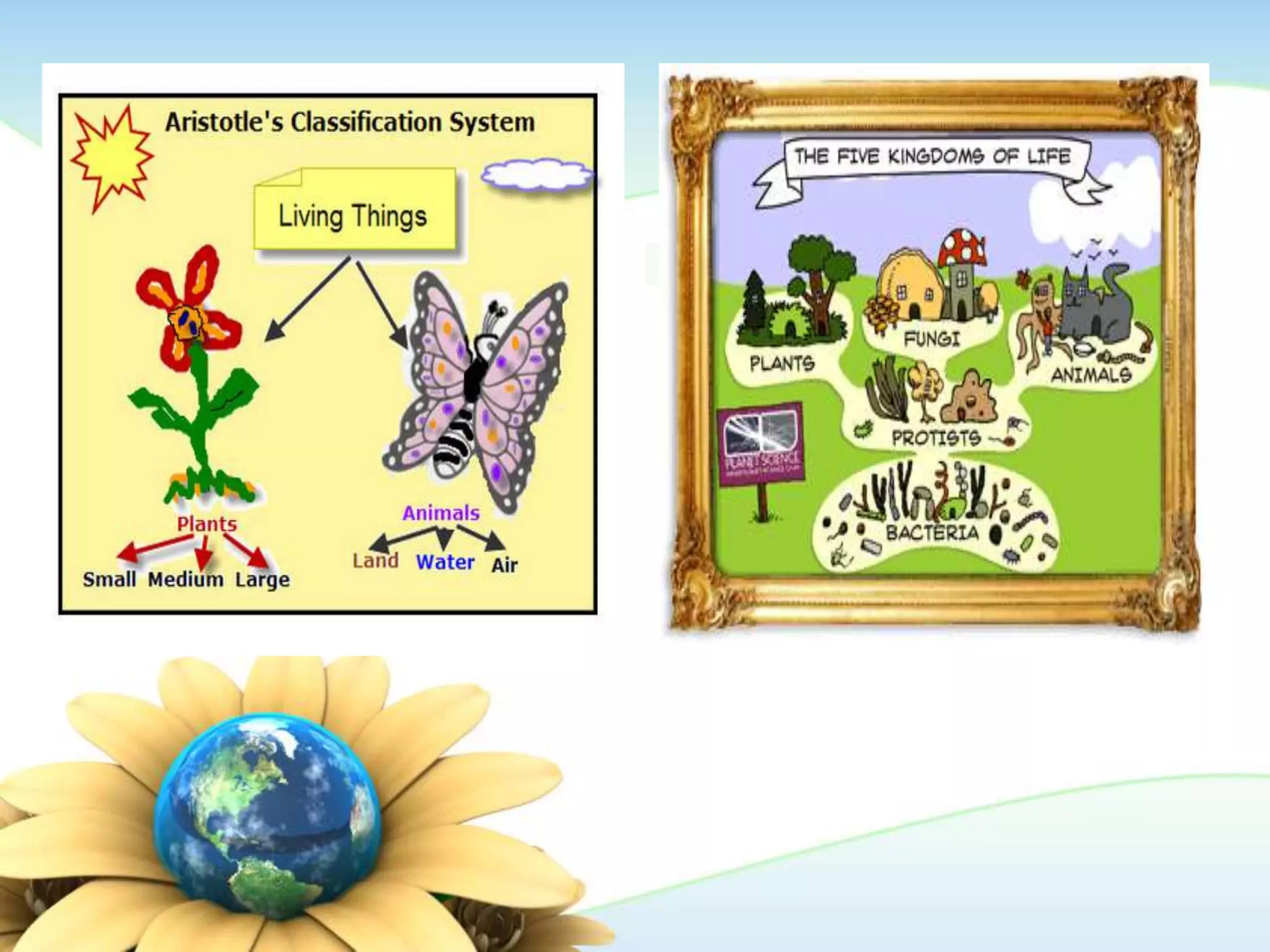 Biodiversity and classification | PPTX