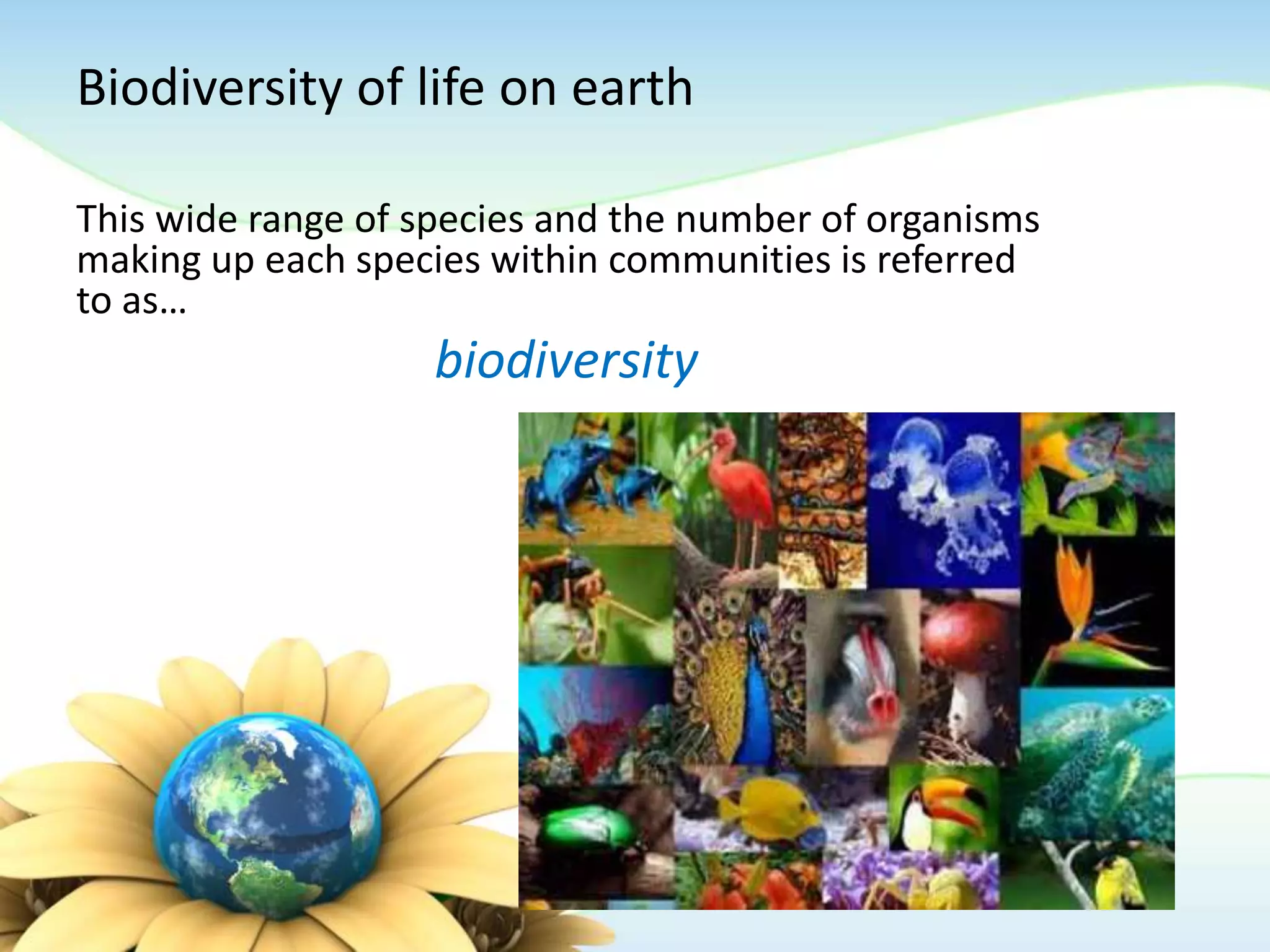 Biodiversity and classification | PPTX