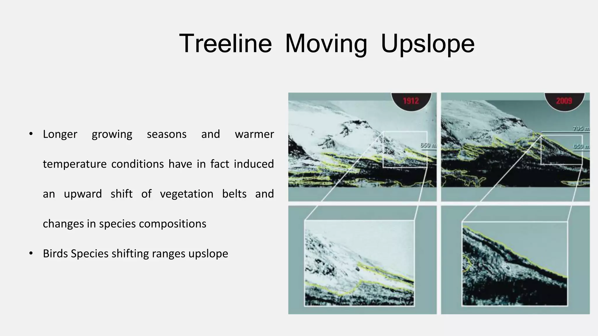 Biodiversity and climate change | PPTX