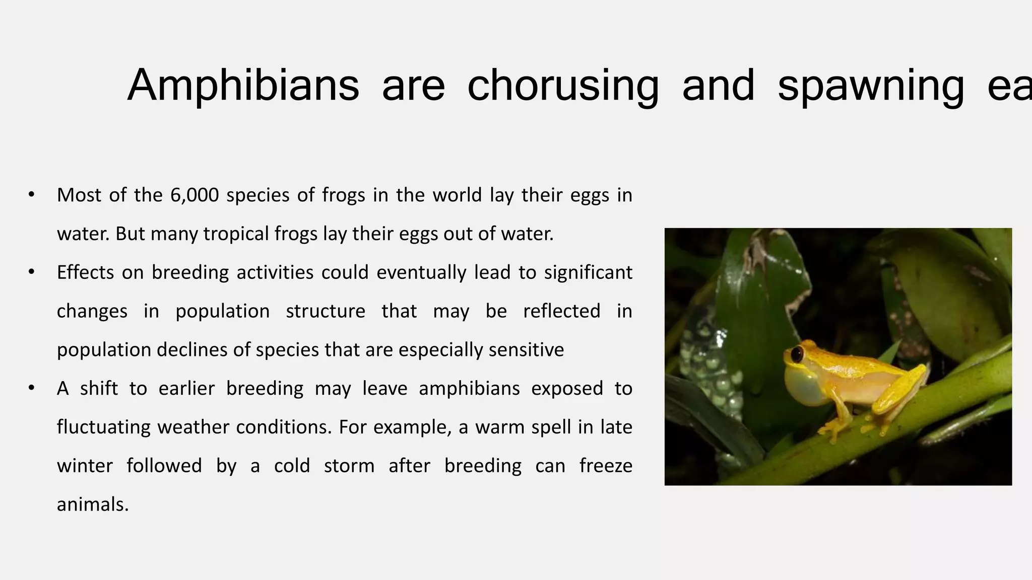 Biodiversity and climate change | PPTX