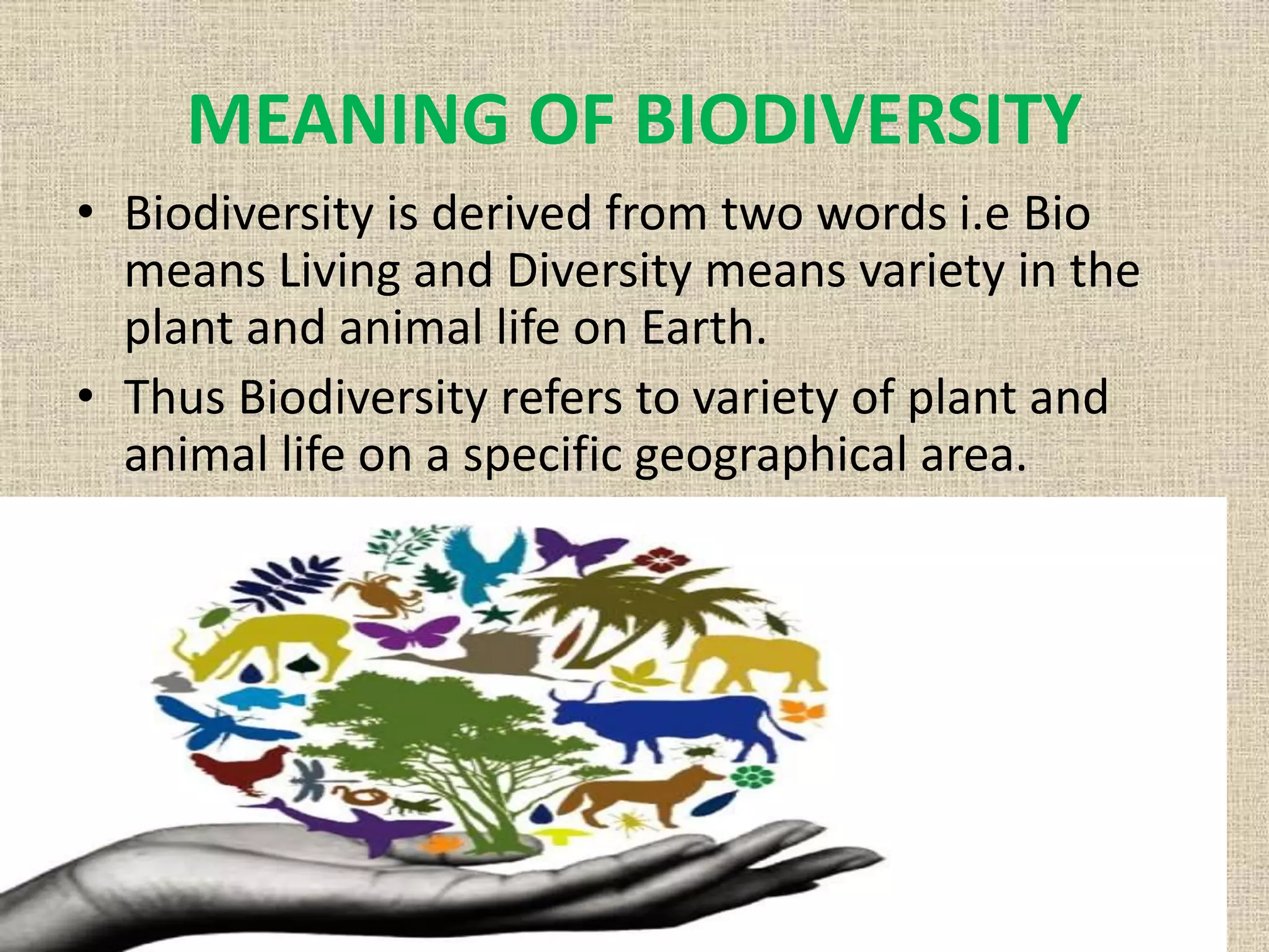 Biodiversity and conservation 11 | PPTX
