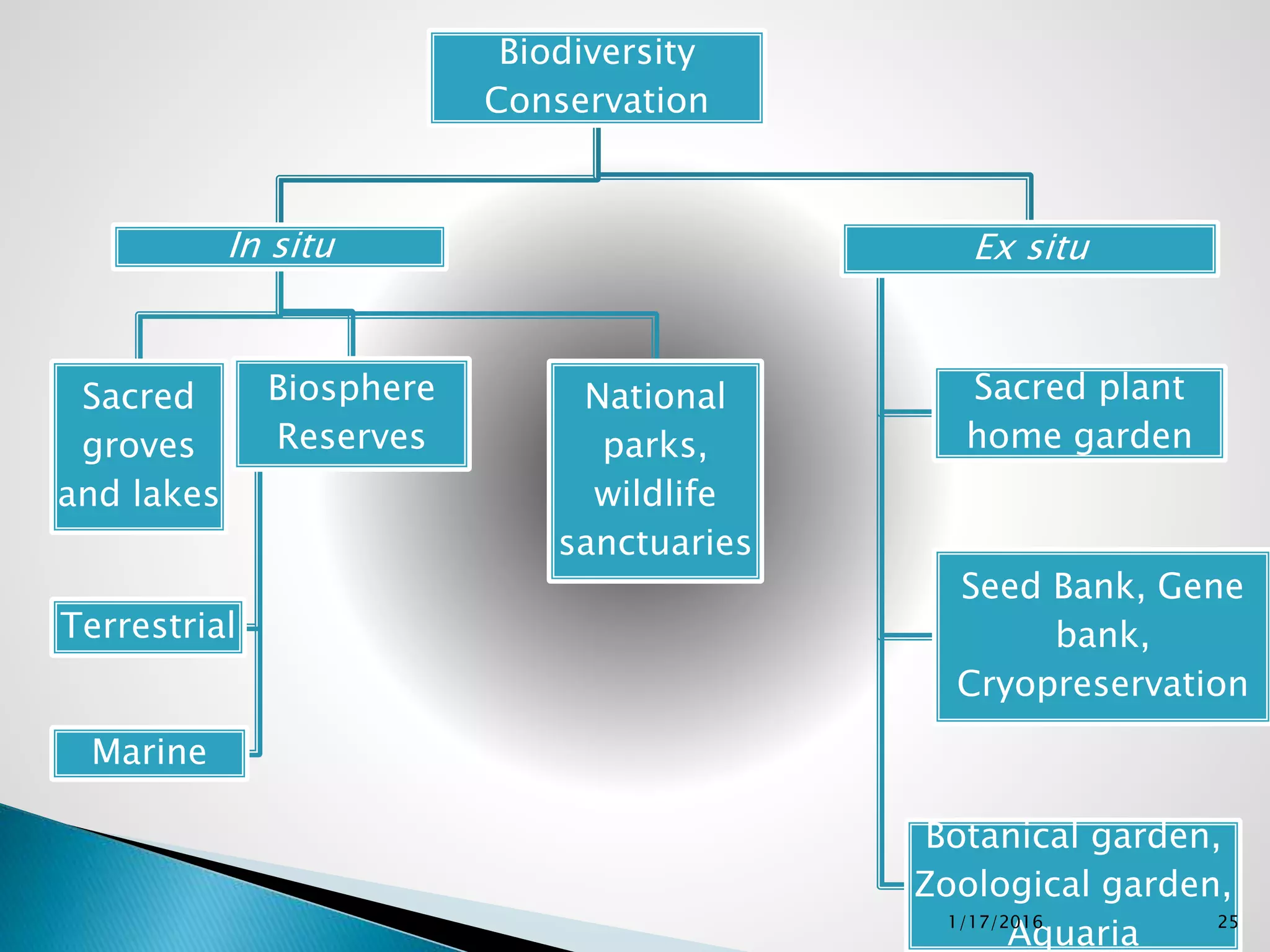 Biodiversity and conservation | PPTX | Zoos & Aquariums | Attractions