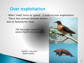 Biodiversity and conservation | PPTX | Zoos & Aquariums | Attractions