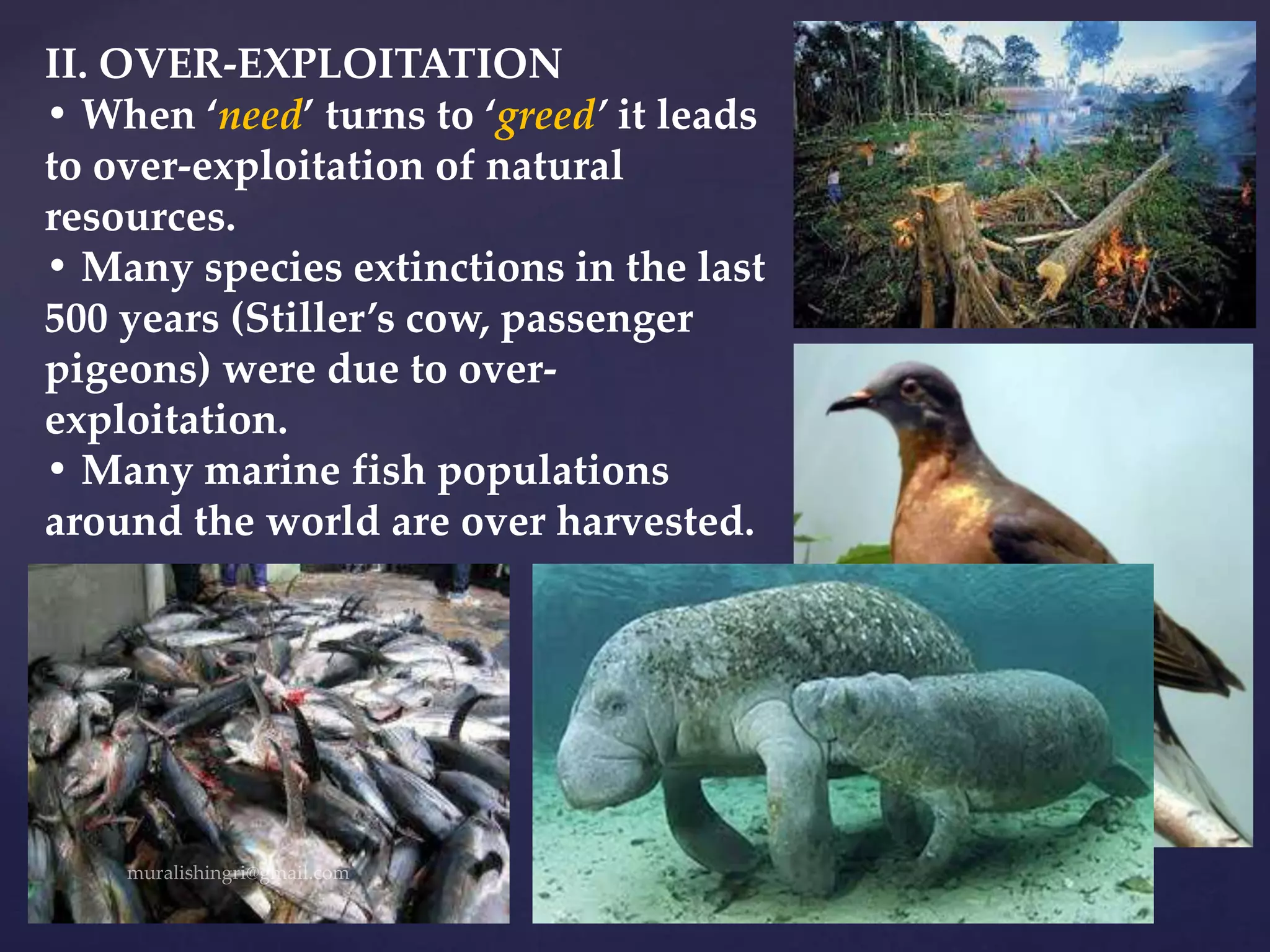 Biodiversity and conservation | PPTX
