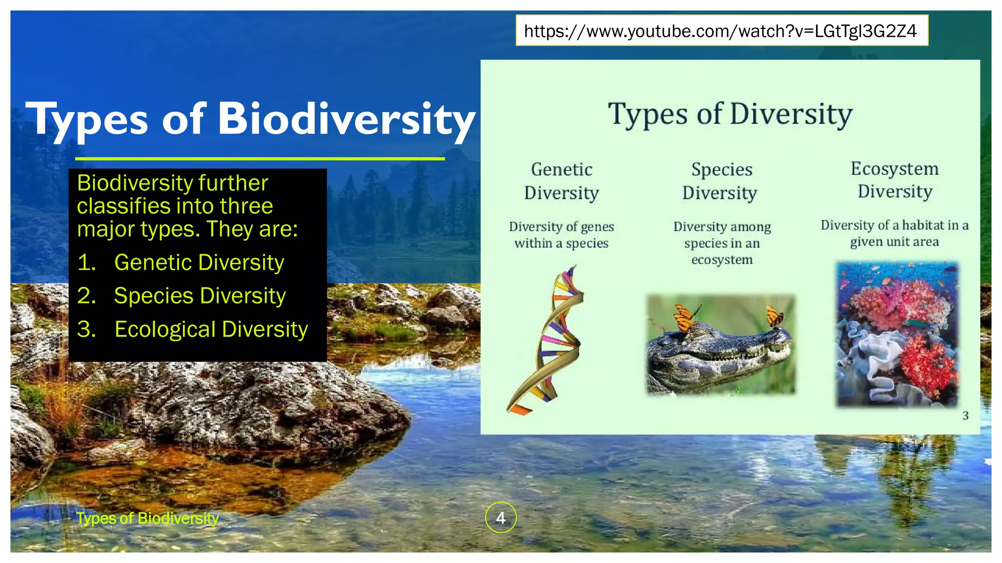 Biodiversity and Conservation.pdf