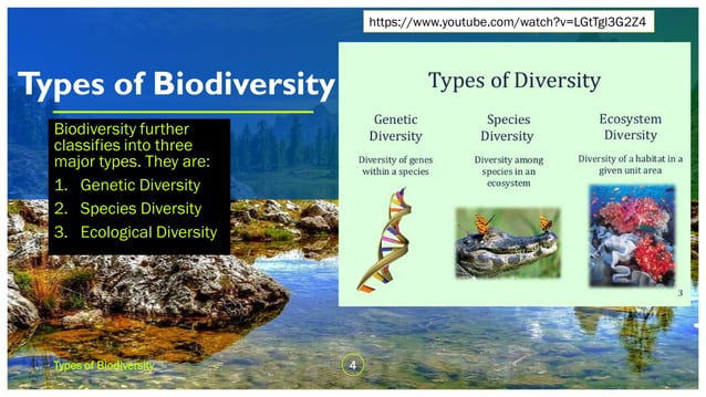 Biodiversity and Conservation.pdf
