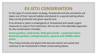 biodiversity and conservation. by Srimaathangi | PPTX