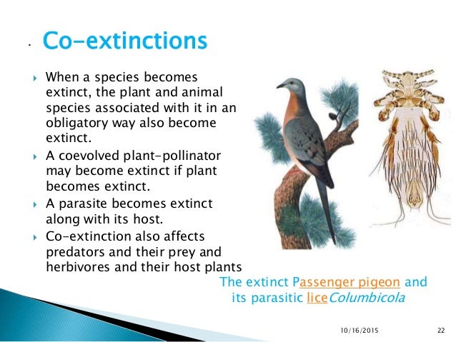 Biodiversity and conservation1