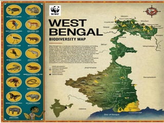 BIODIVERSITY AND CONSERVATION OF FAUNA IN WEST BENGAL.pdf
