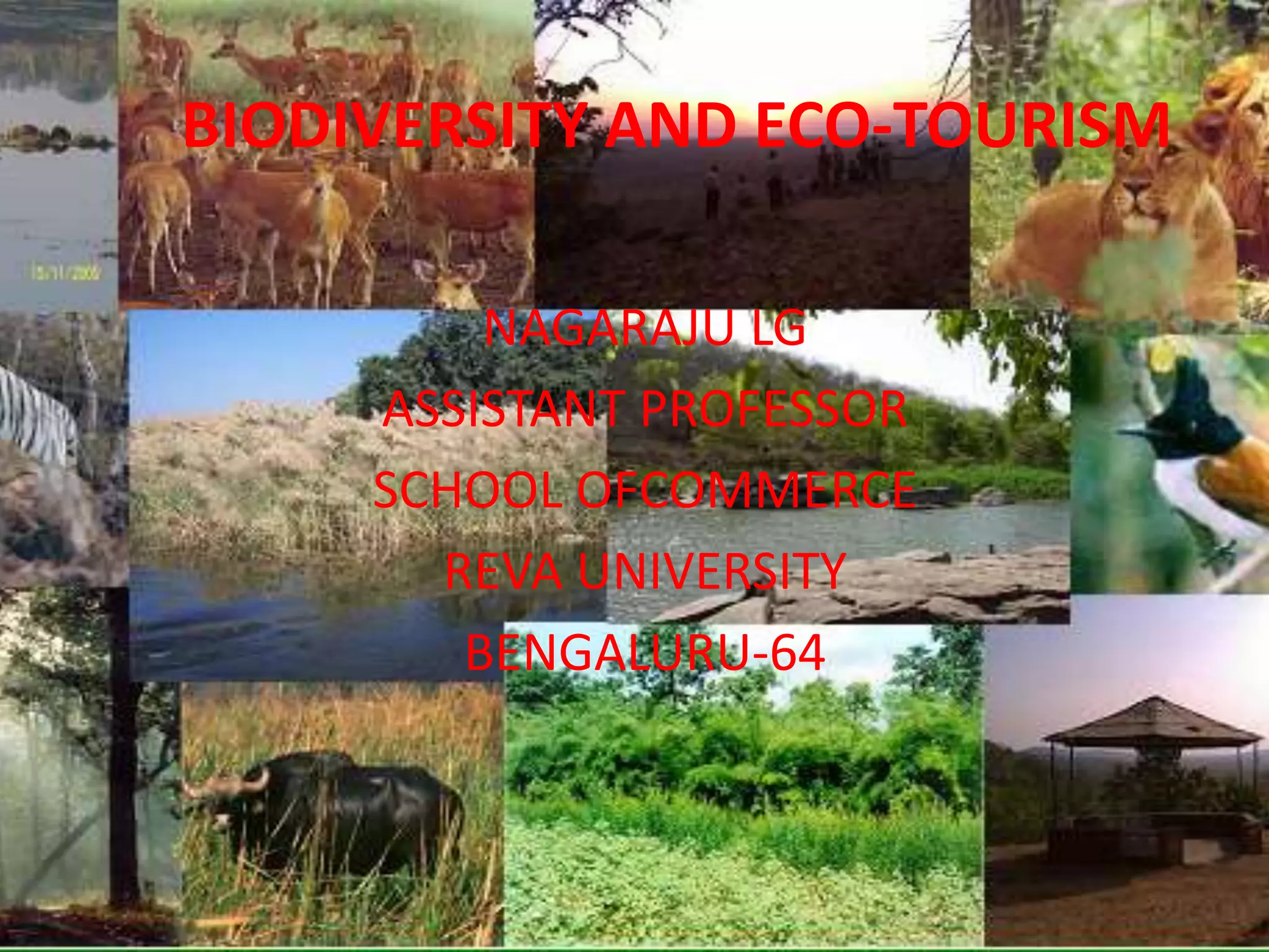 Biodiversity and eco tourism | PPTX