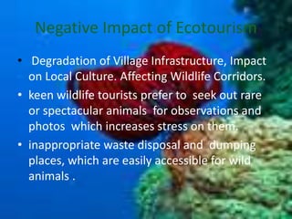 Biodiversity and eco tourism | PPTX
