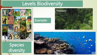 Biodiversity and Ecosystem .pptx