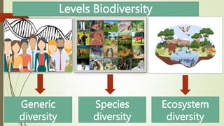 Biodiversity and Ecosystem .pptx