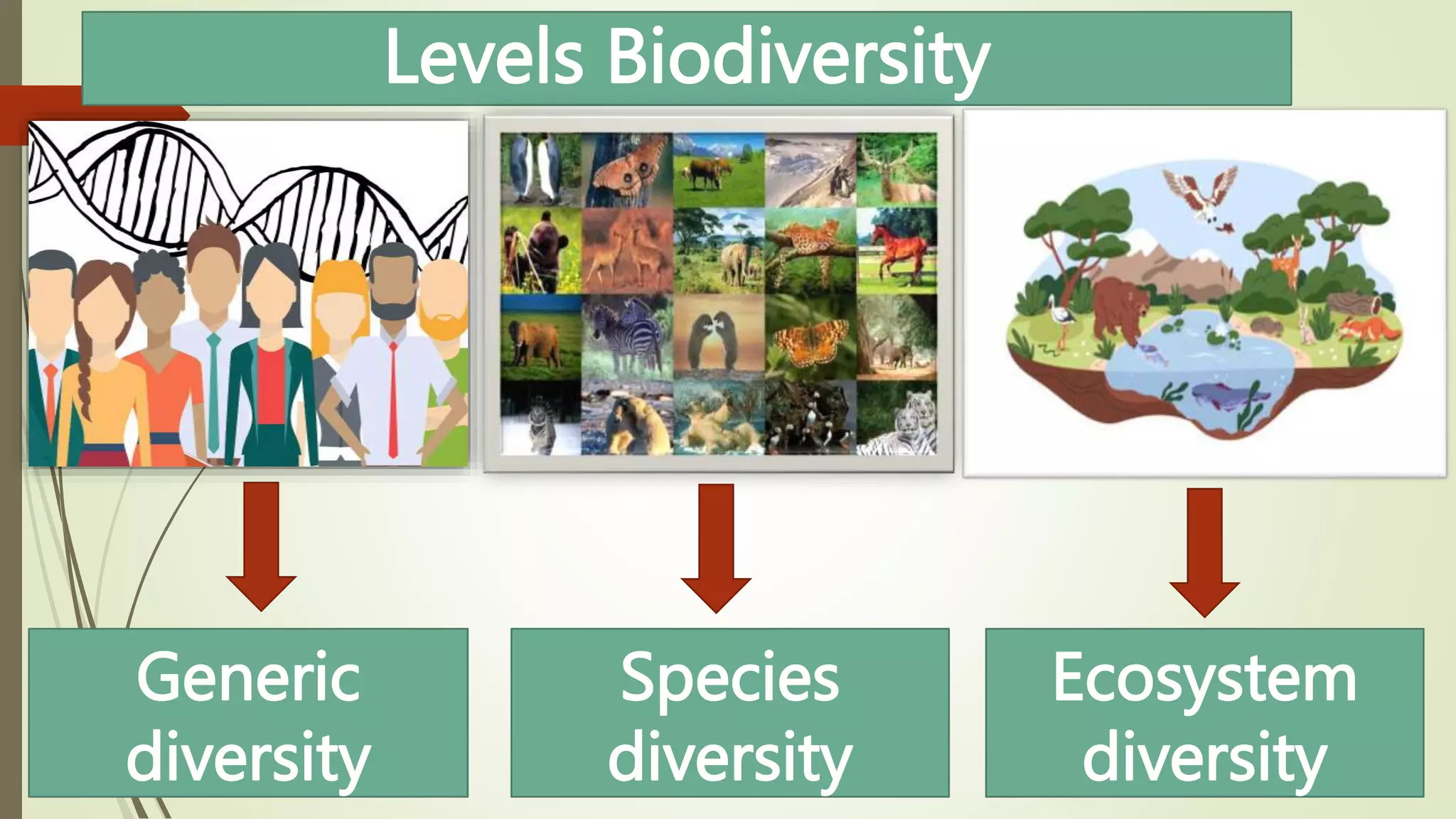 Biodiversity and Ecosystem .pptx