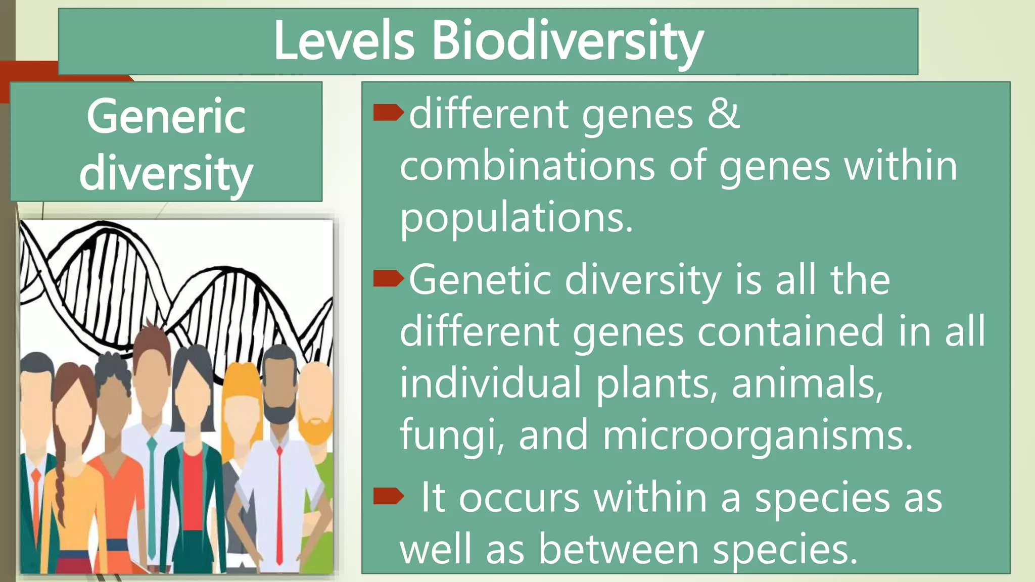Biodiversity and Ecosystem .pptx